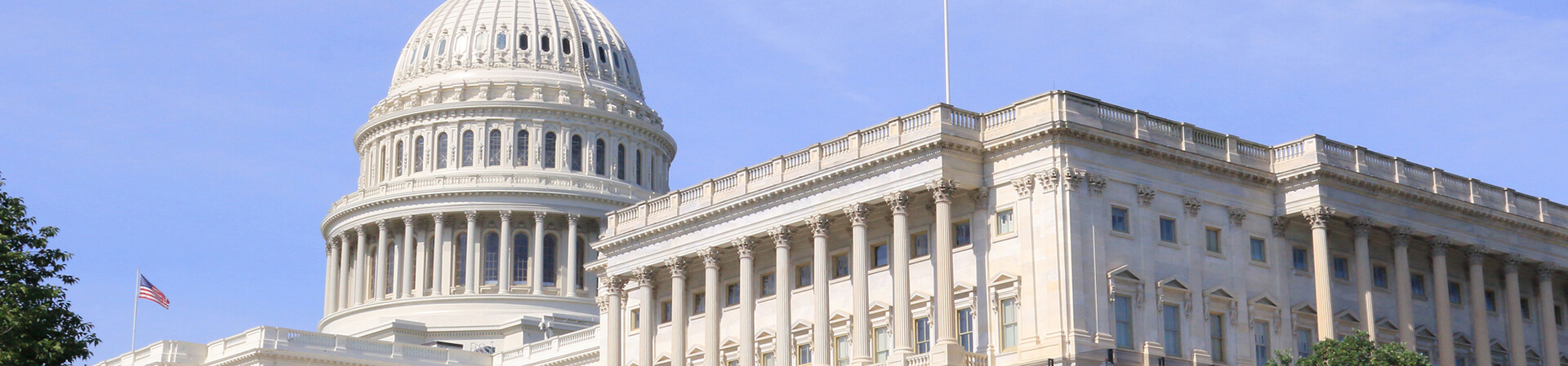 State & Local Entities | State & Local Government Entities | Bregman ...